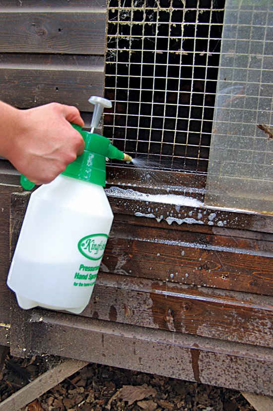 Preparing Poultry for Winter - Backyard Poultry